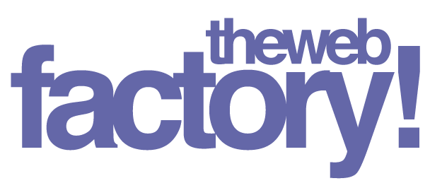 Diseños a medida para tu tienda online de Ecommerce por The Web Factory