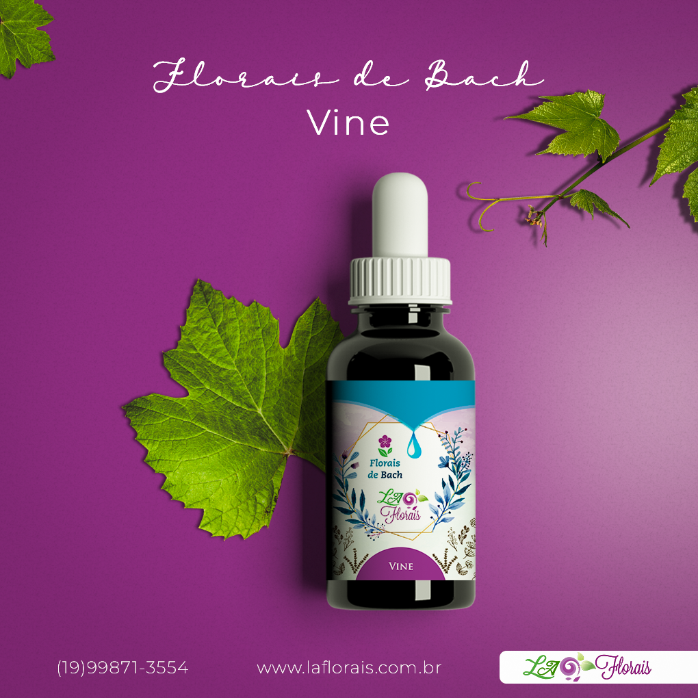 Floral de Bach - Vine 30ml - LA Florais