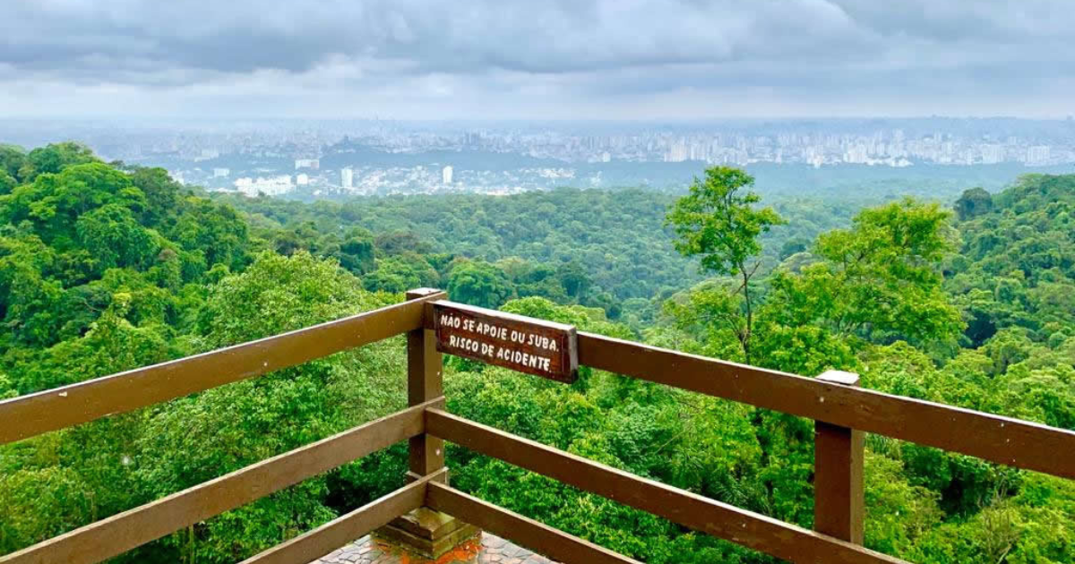 10 Lugares Incríveis para Experiências Rurais em São Paulo