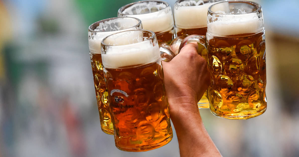 40 tipos de cerveja: Guia com os preferidos mundialmente