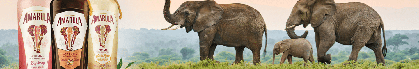 O que é Amarula? Conheça a história e curiosidades