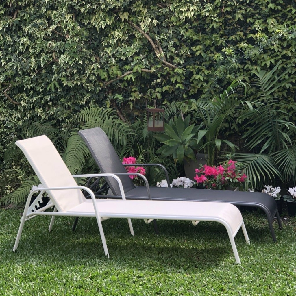 Reposera Hazel Estructura De Acero