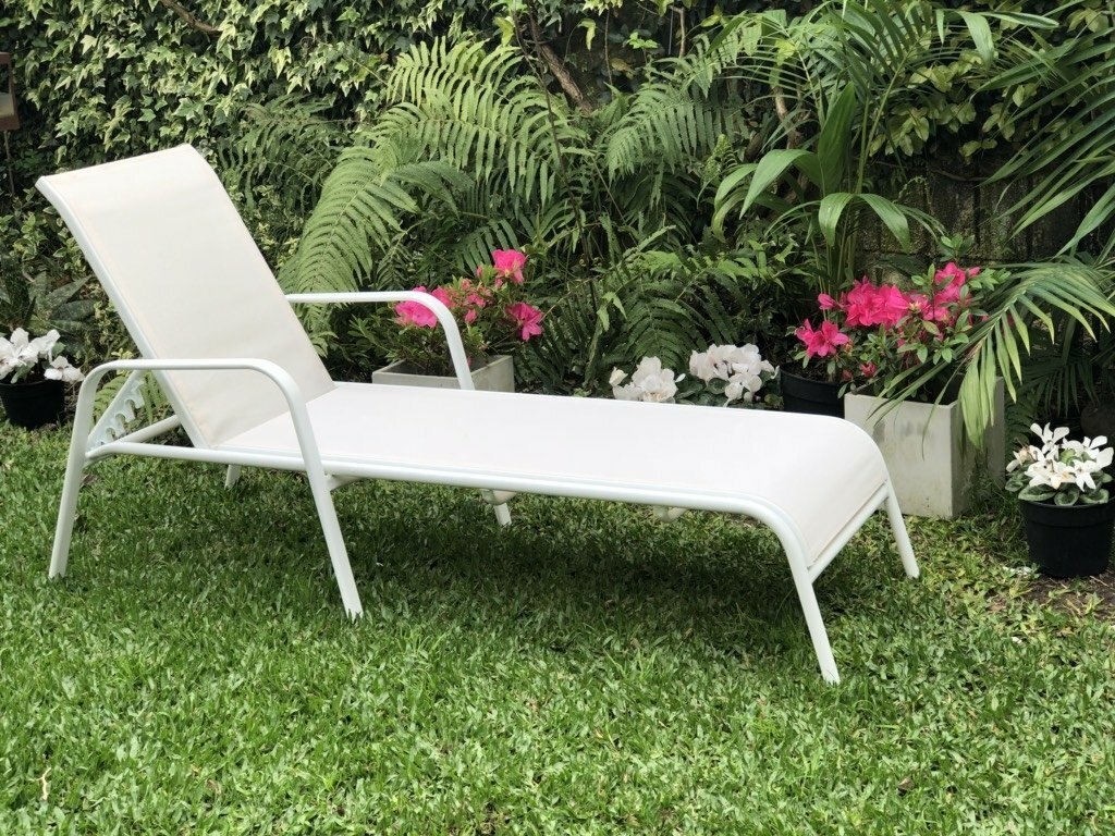 Reposera Hazel Estructura De Acero