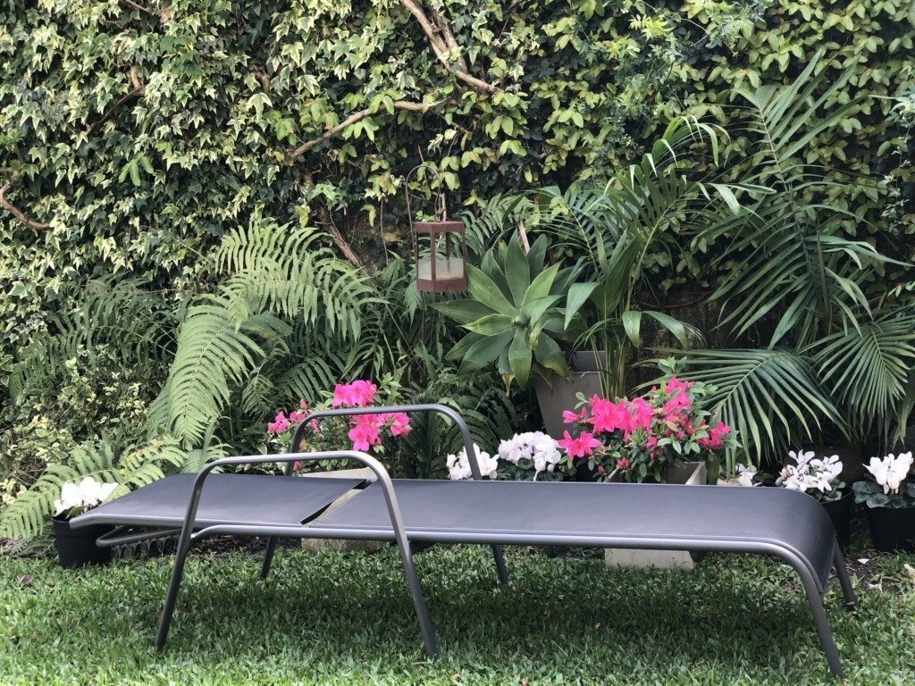 Reposera Hazel Estructura De Acero