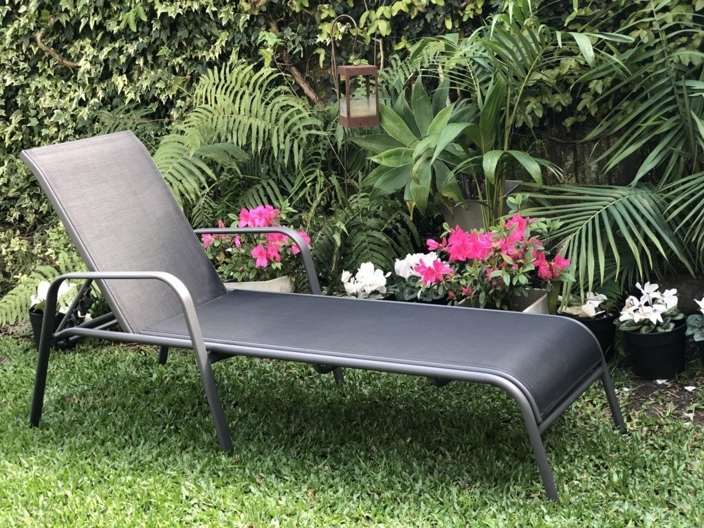 Reposera Hazel Estructura De Acero