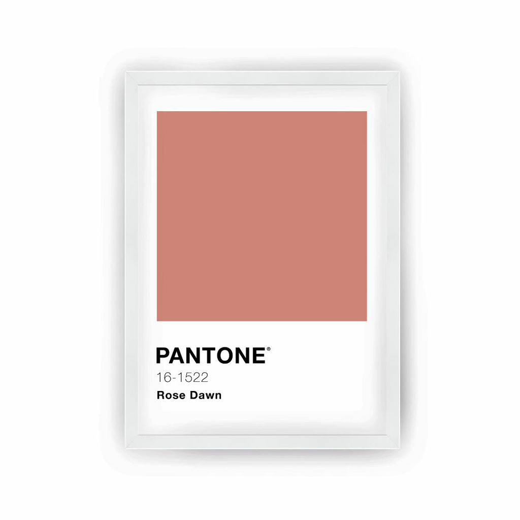 Cuadro Pantone Rose Dawn - Comprar en Puerta de Goya