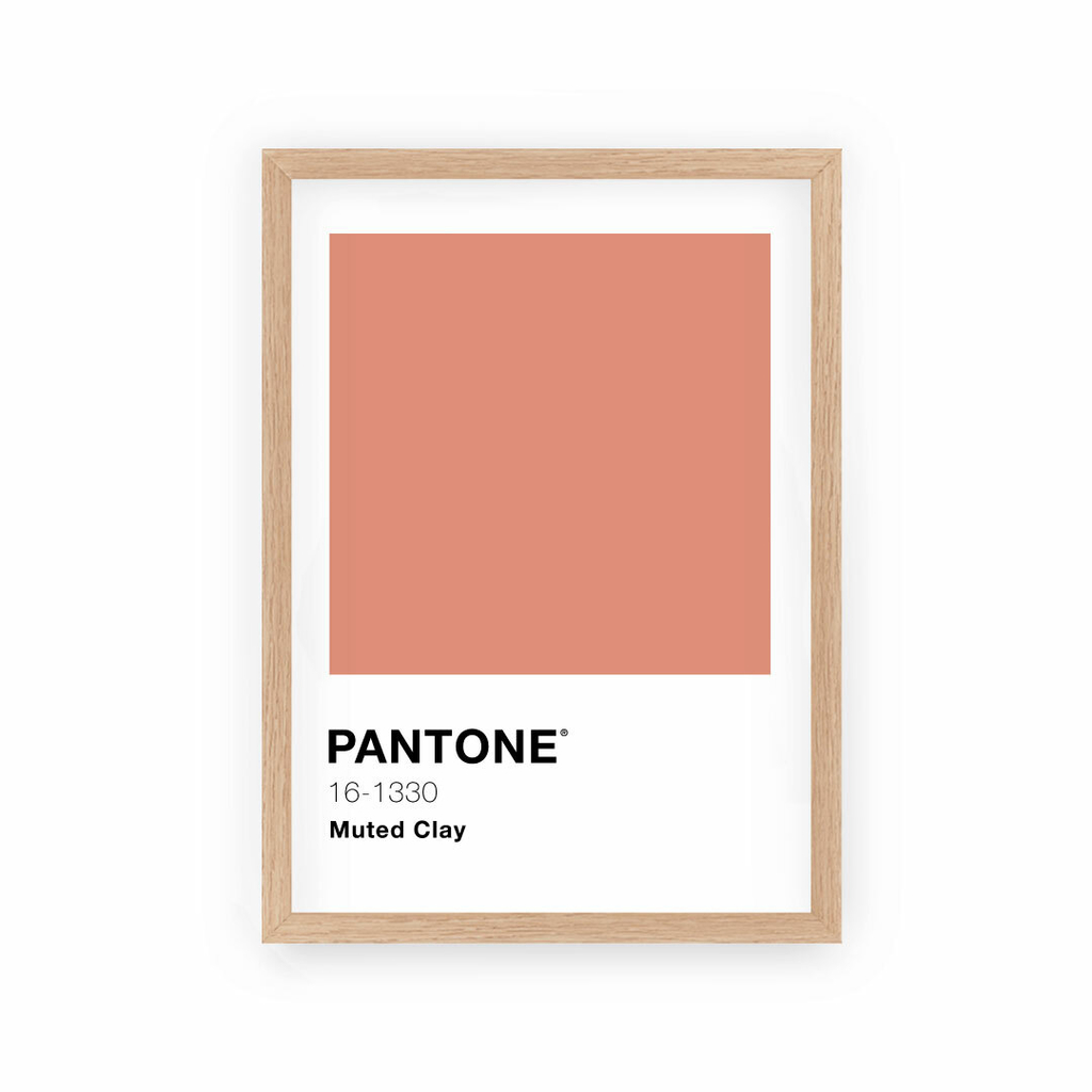 Cuadro Pantone Muted Clay - Comprar en Puerta de Goya