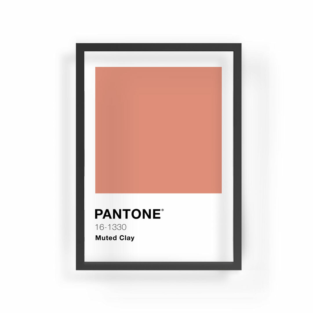 Cuadro Pantone Muted Clay - Comprar en Puerta de Goya