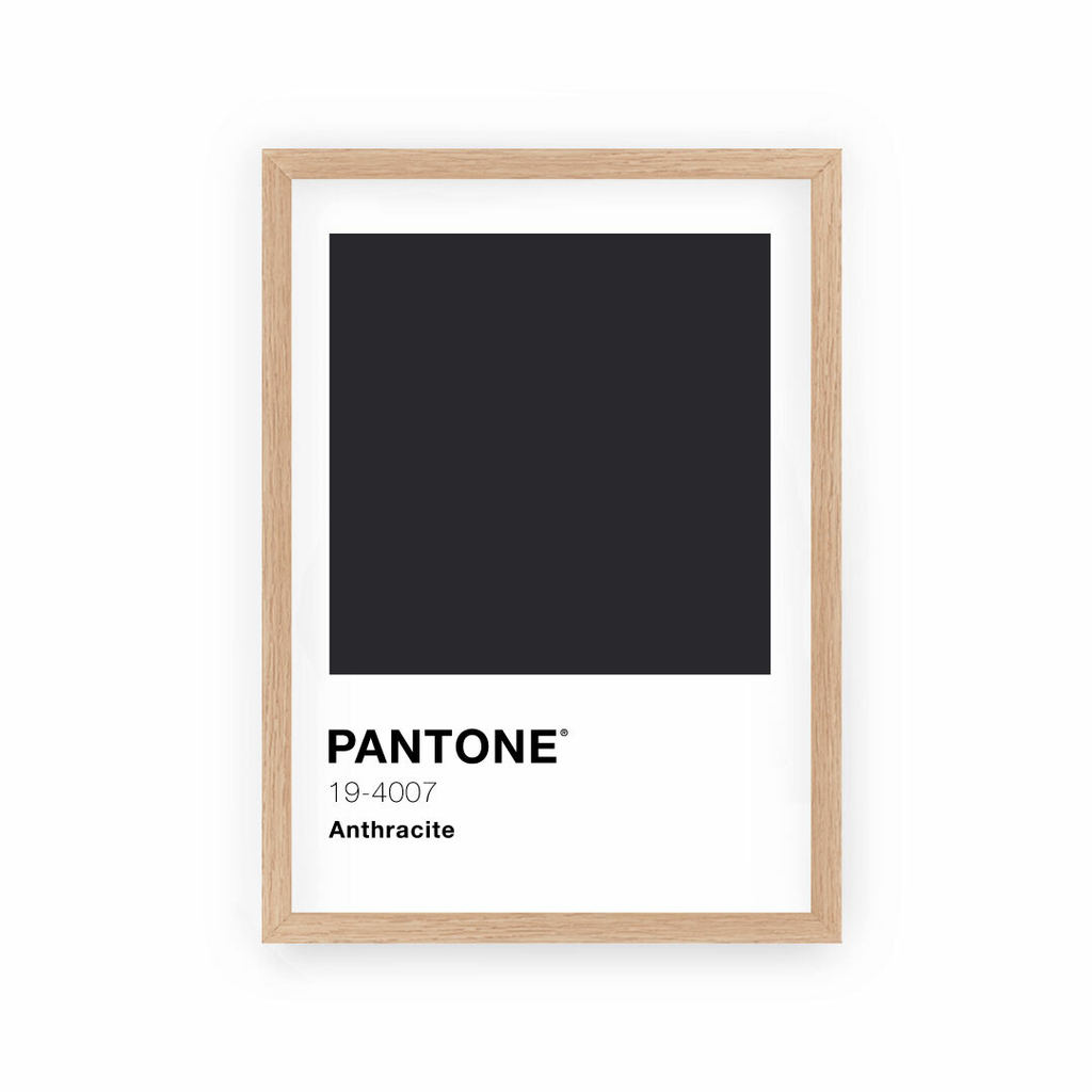 Cuadro Pantone Anthracite - Comprar en Puerta de Goya