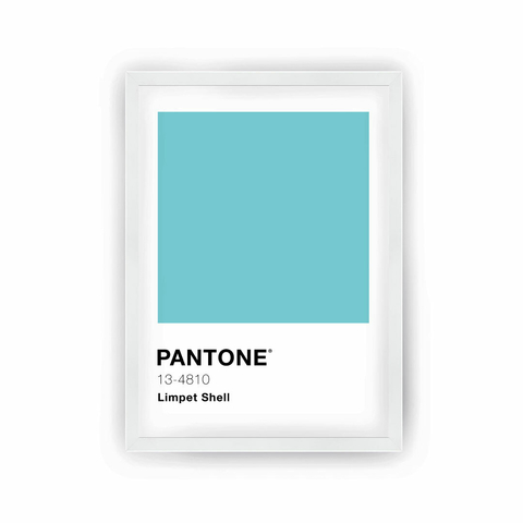 Cuadro Pantone Limpet Shell - Comprar en Puerta de Goya