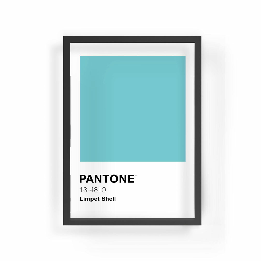Cuadro Pantone Limpet Shell - Comprar en Puerta de Goya