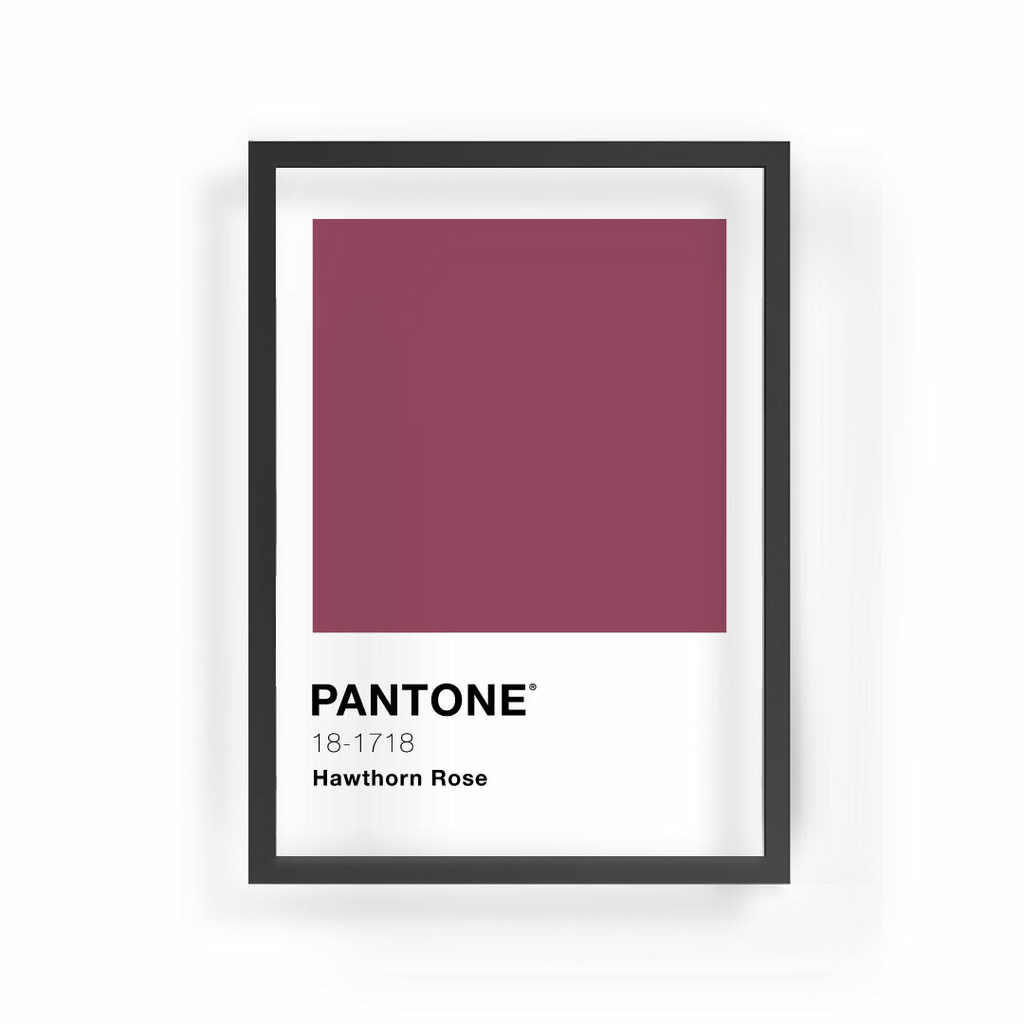 Cuadro Pantone Hawthorn Rose - Puerta de Goya