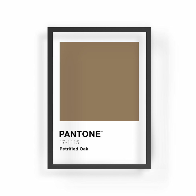 Cuadro Pantone Petrified Oak - Puerta de Goya