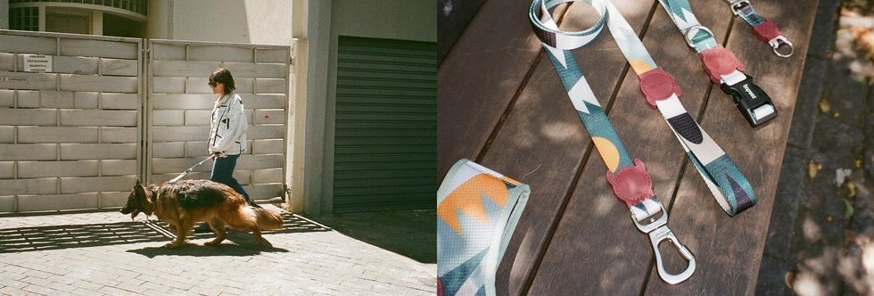 Arnes en H para Perros WOOZER SMALL - Comprar en pets