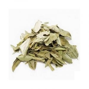 Ambay en hojas 50 grs - Comprar en Brotes de Amaranto