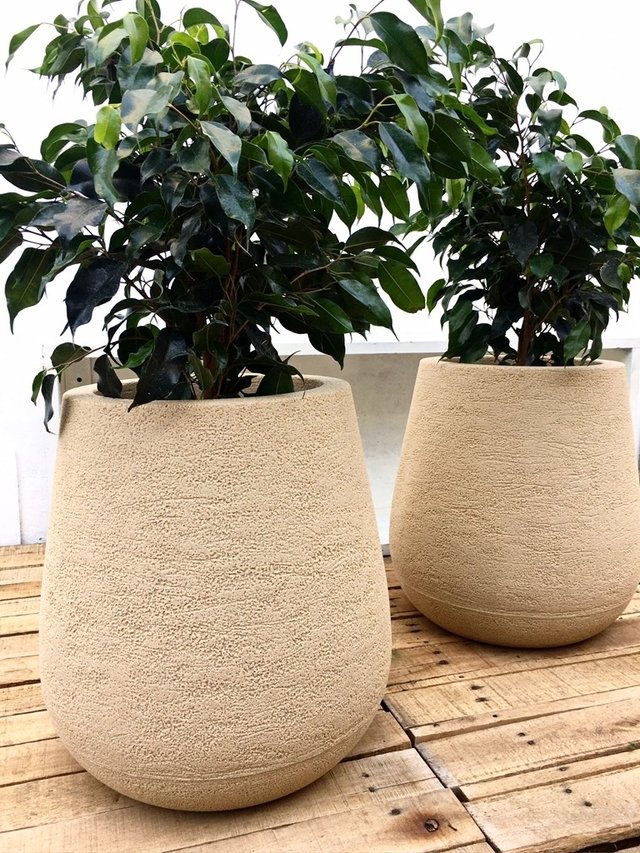 Maceta Rotomoldeo Misionera - Vivero Valle Fértil