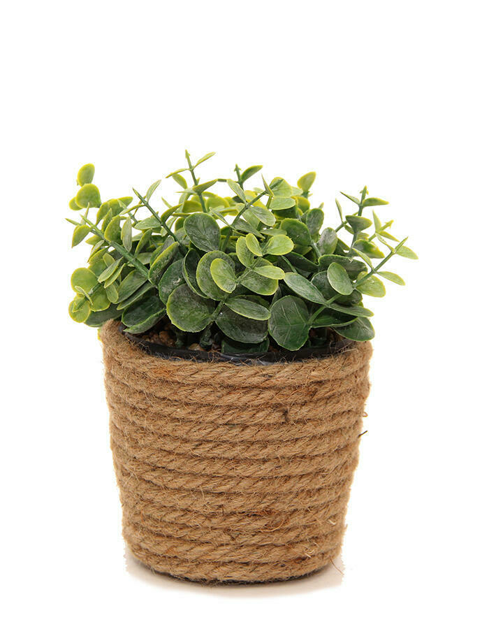 MACETA YUTE CON EUCALIPTUS 19CM