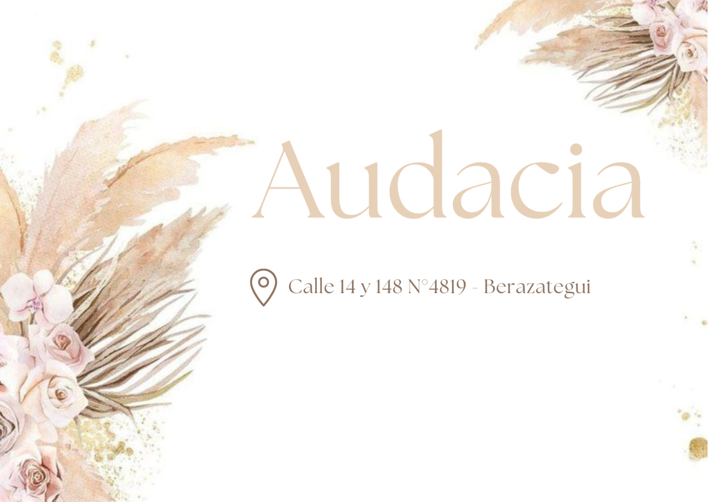 Audacia