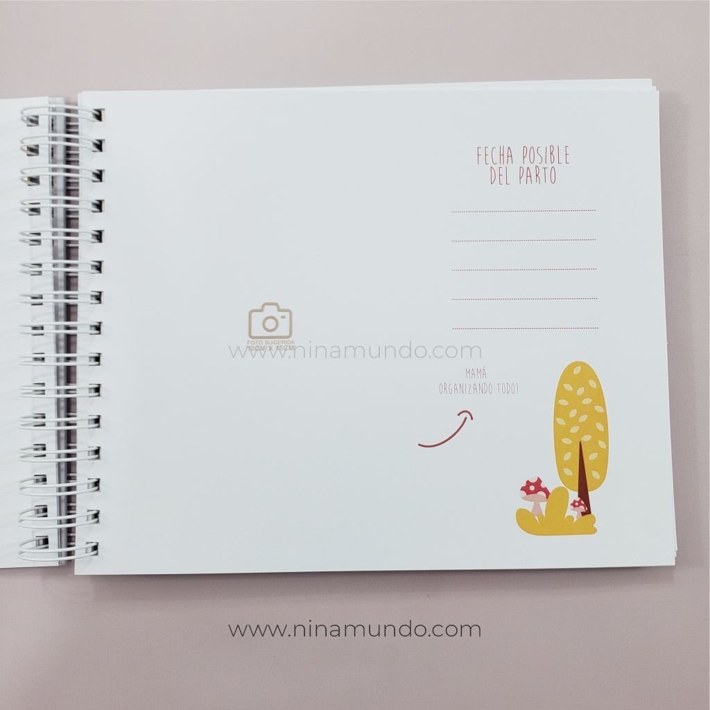 Álbum Bebé Conejo - Comprar en ninamundo