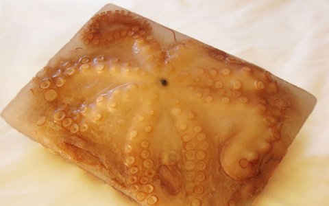 PULPITO ESPAÑOL X 500GRS - Pescaderías Pelegrini