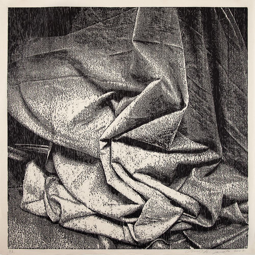 Ernesto Bonato - 'Manto' (série Deambulatório)