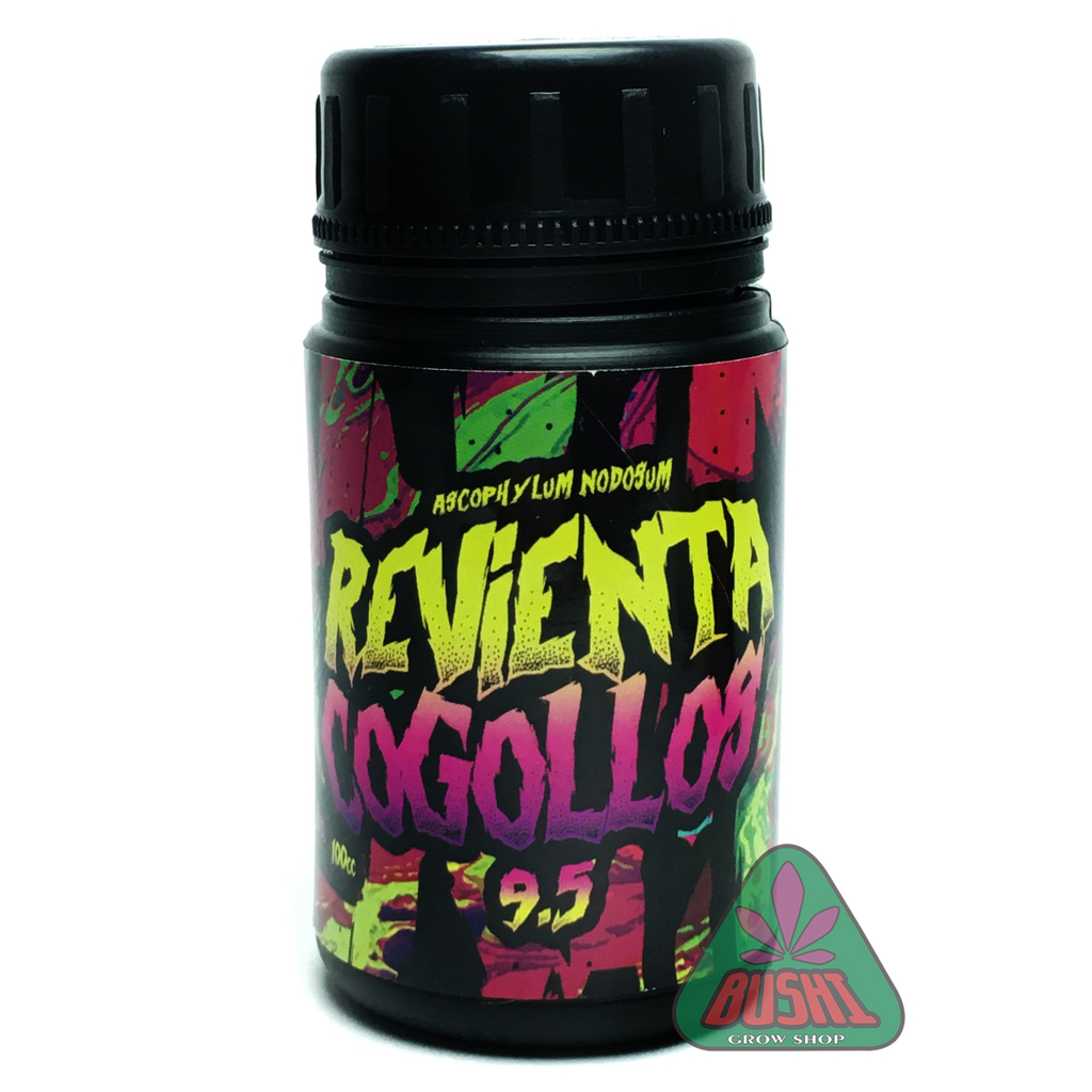 Revienta Cogollos 9.5 100cc - Comprar en Bushi GrowShop