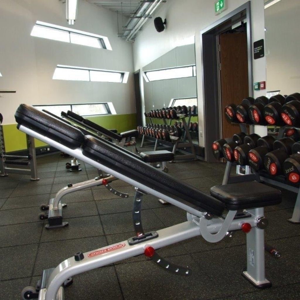 Rack Squat Nautilus - Comprar en IMPACT FITNESS