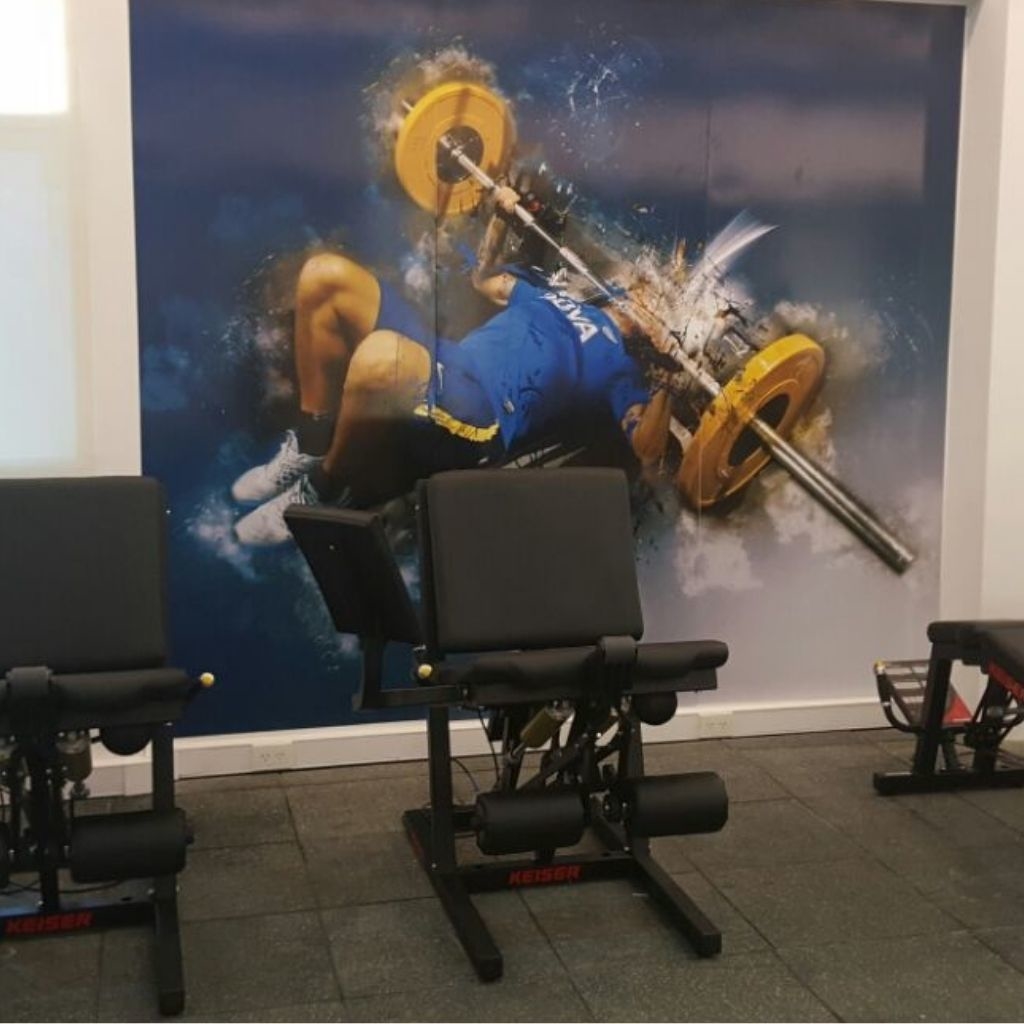 Keiser Sillon De Cuadriceps Comprar En Impact Fitness