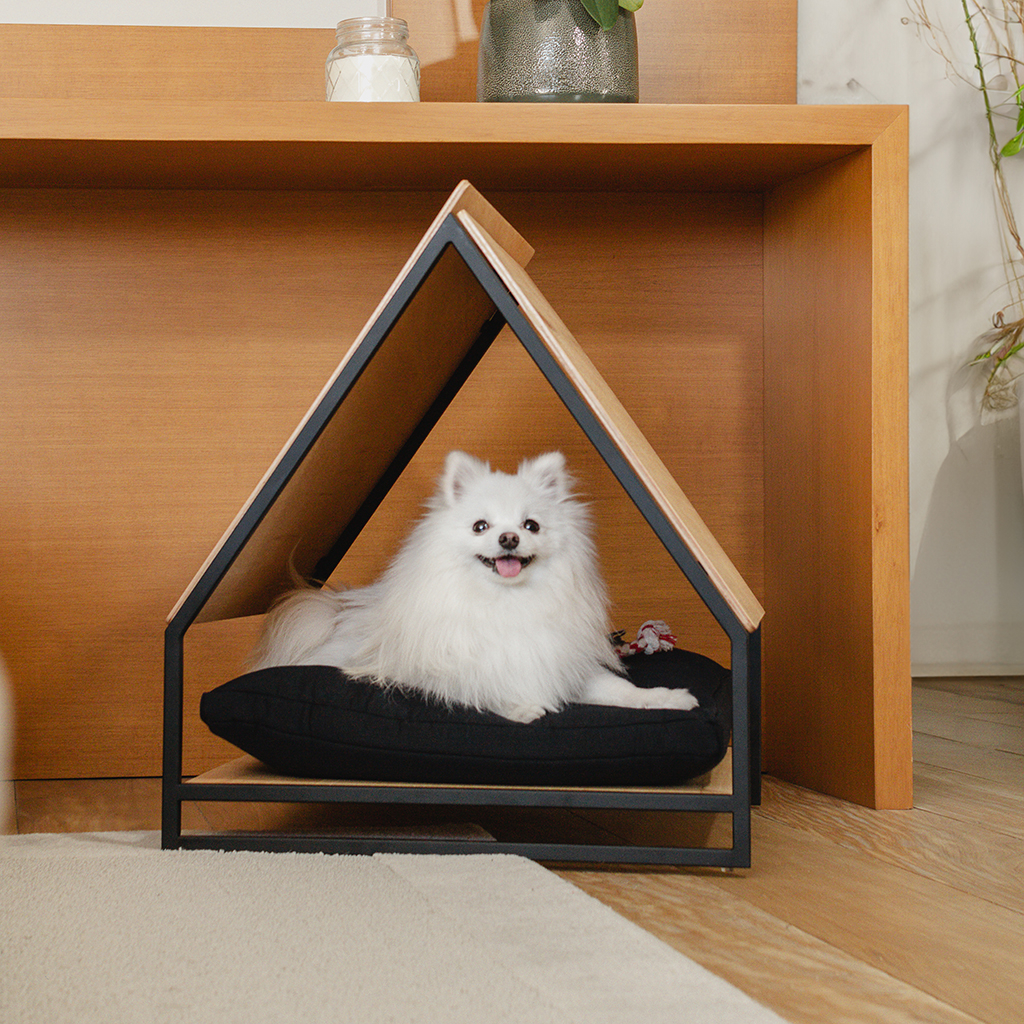 Casa Roof Charlie Pet - Comprar em Charlie Pet