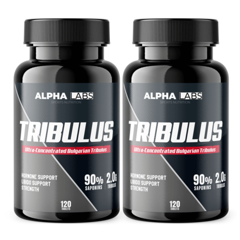 Sparta Shape Suplementos