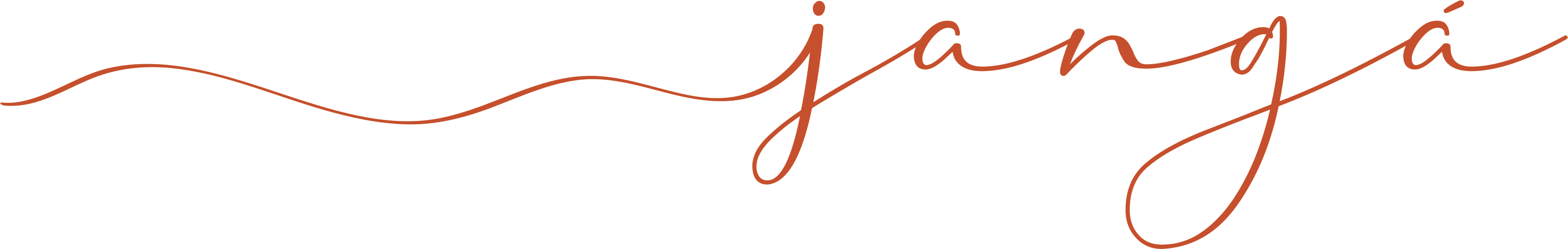 Loja online de jangá