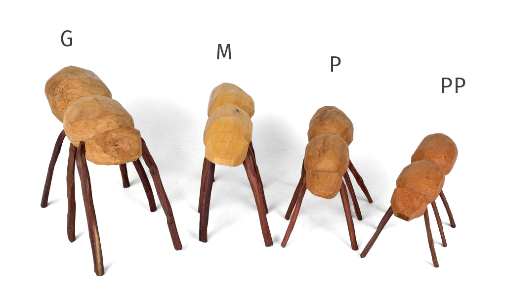 Formiga - artesão Luiz Benício