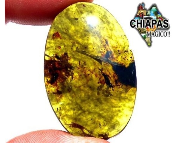 Ámbar Verde #1 Pieza Exclusiva - Chiapas Mágico