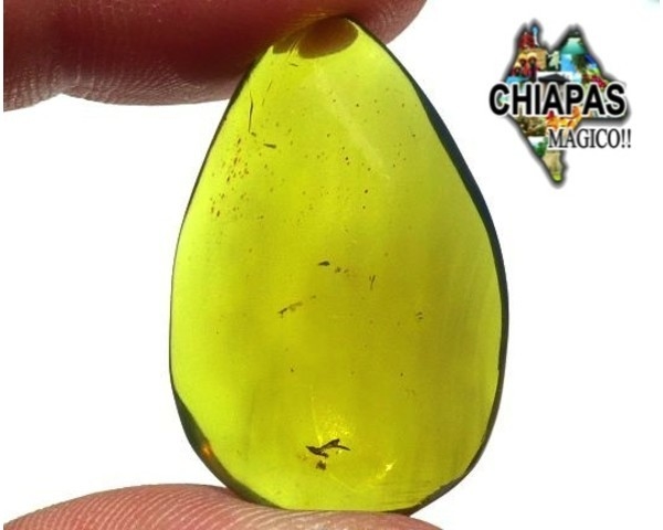 Ámbar Verde #3 Pieza Exclusiva - Chiapas Mágico