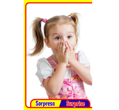 Flash cards Emociones y sentimientos