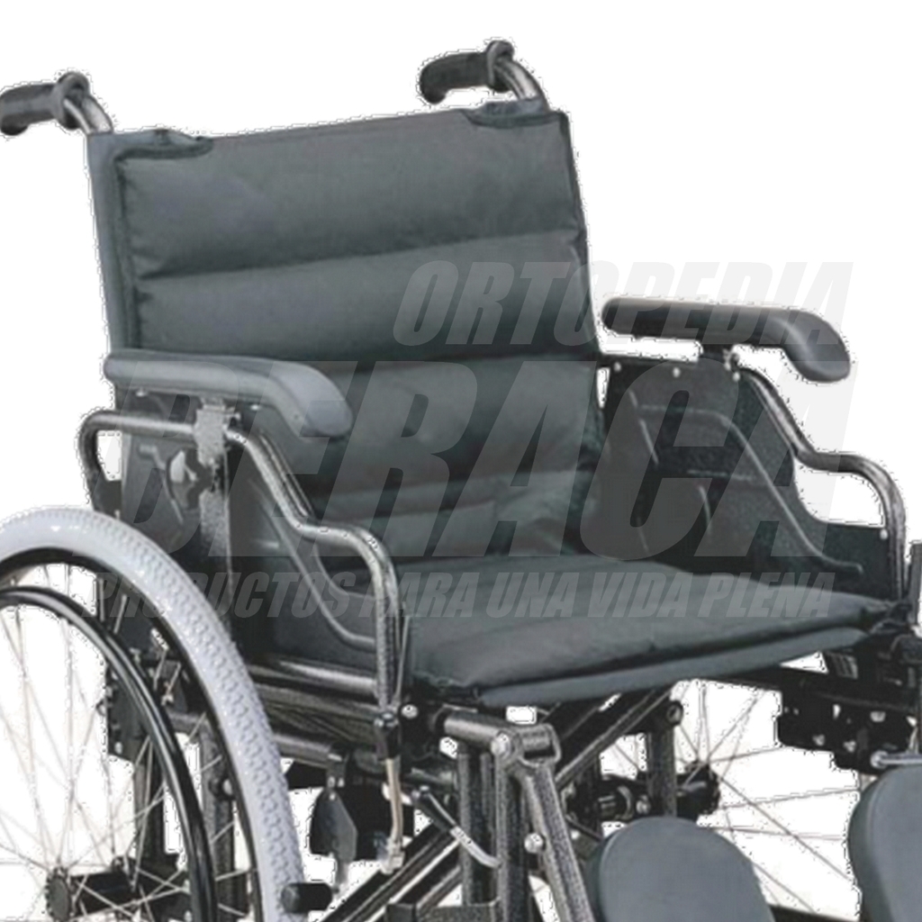 Silla De Ruedas Reforzada de Aluminio con SISTEMA ELEVA PIERNAS | Importada
