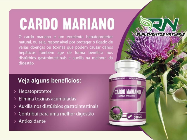 Cardo Mariano 60 Cápsulas 500mg RN
