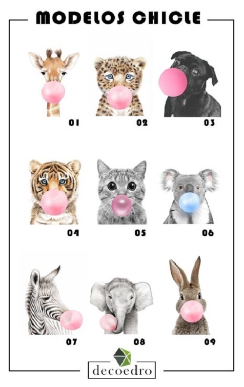 Cuadro Animales Chicle Bebe - Comprar en decoedro