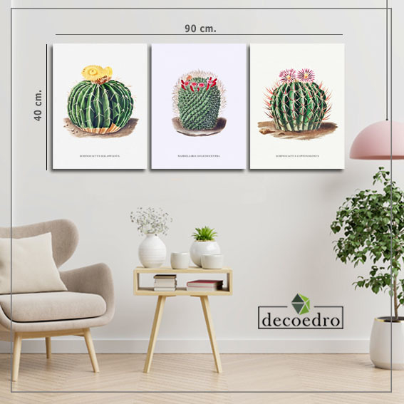 Cuadro Cactus Planta Naturaleza - Comprar en decoedro