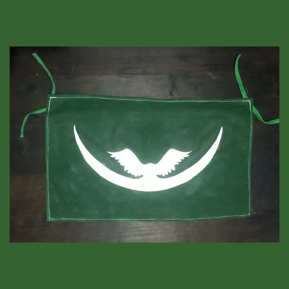 Bandeira Santo Daime