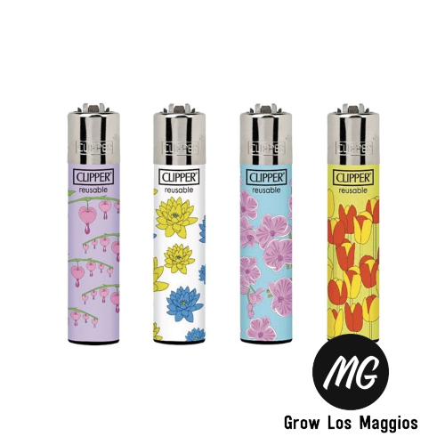 Clipper World Flowers. - Comprar en Grow Los Maggios
