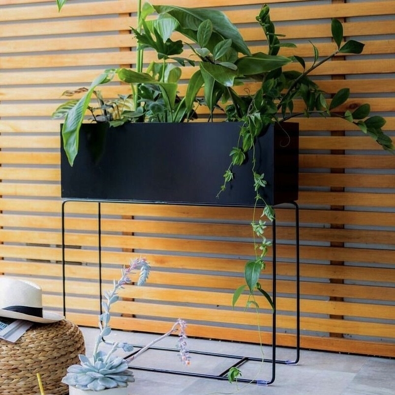 CLAVADERA 1X2 - Comprar en MADERERA LA ARAUCARIA