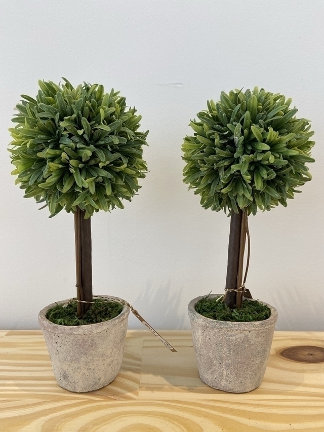 TOPIARIO 26CM ALTO - Comprar en La Abadia