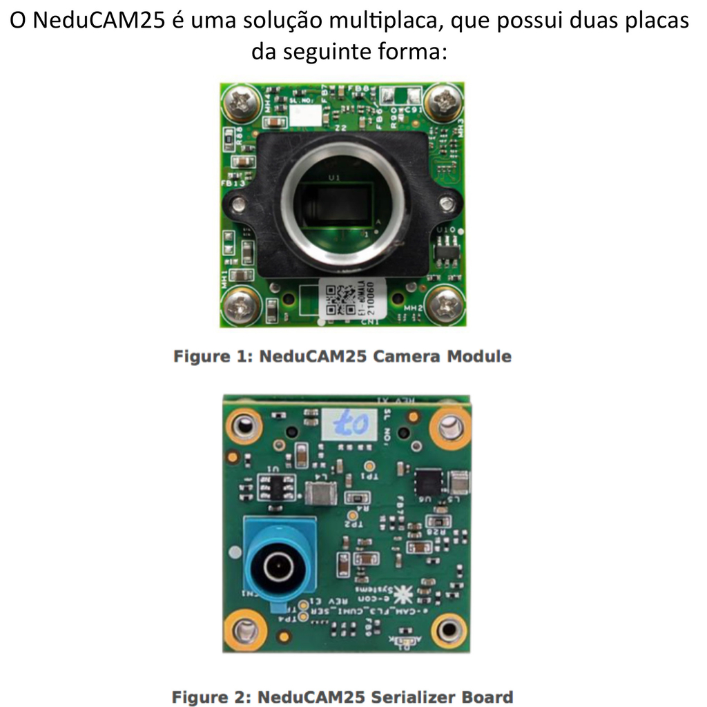 Nvidia Jetson Orin Developer kit + e-Con Systems NeduCAM25 l onsemi®'s ...