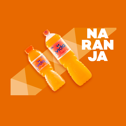 Vida By Baggio Saborizadas x 600 cc