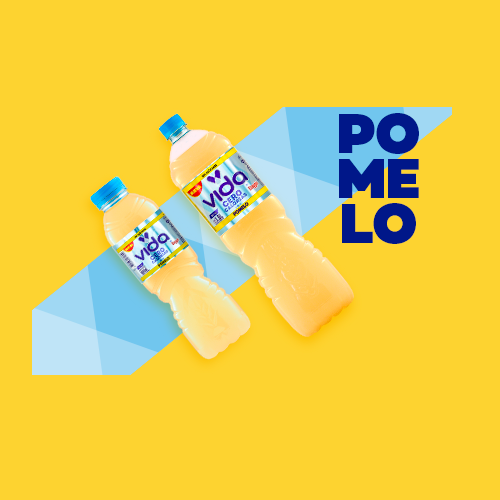 Vida By Baggio Saborizadas x 600 cc