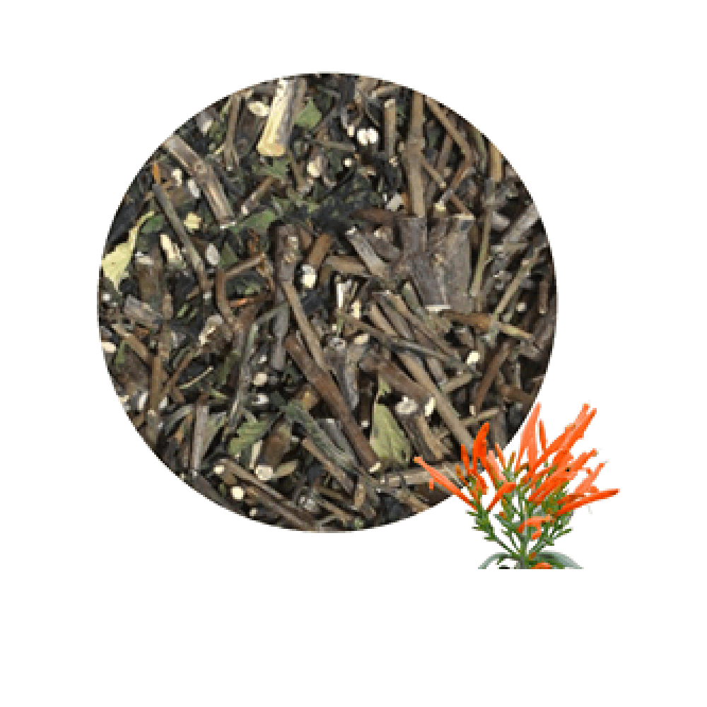 Muicle - Comprar en Productos QI