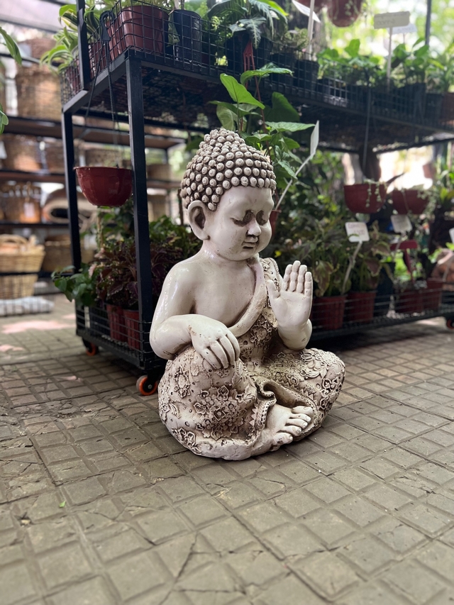 Buda Bebe - Comprar en Su Florista