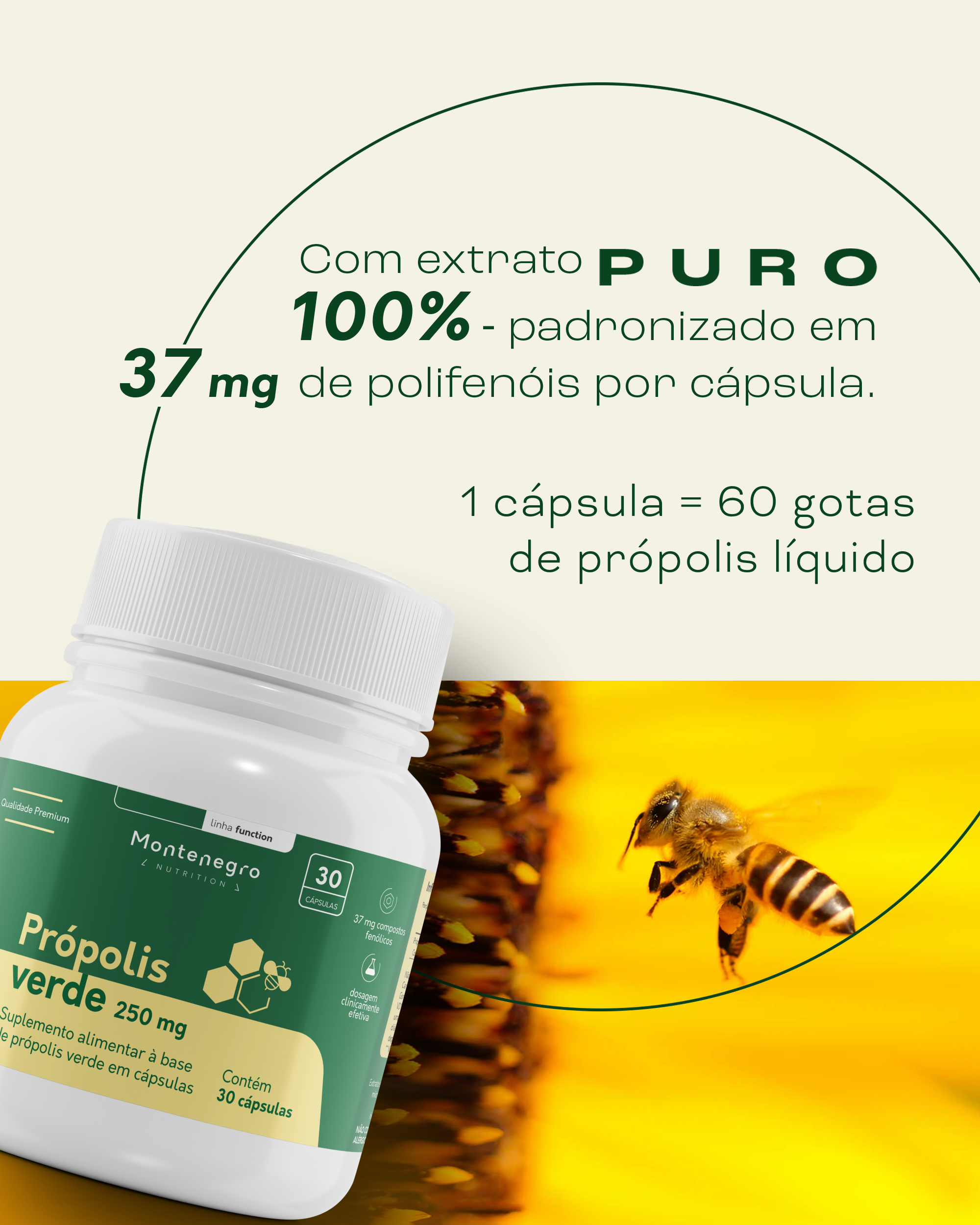 Própolis verde Montenegro: o mais concentrado em polifenóis do merca