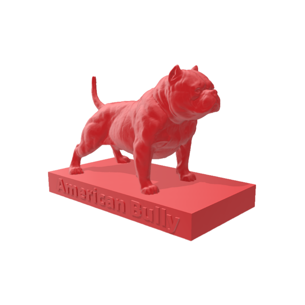 American Bully XL Nome Personalizado
